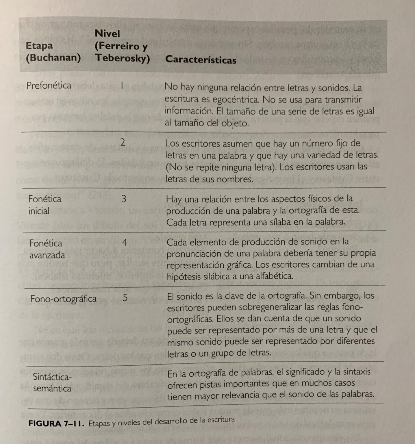 Developing Writing Skills in Spanish for Young Dual Language Learners